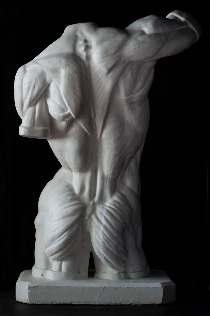 Vintage Anatomical plaster écorché sculpture-Anatomy Boutique-Anatomy ...